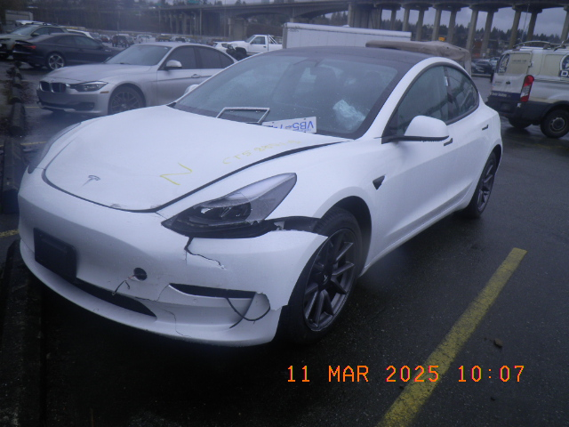 American Auction Access